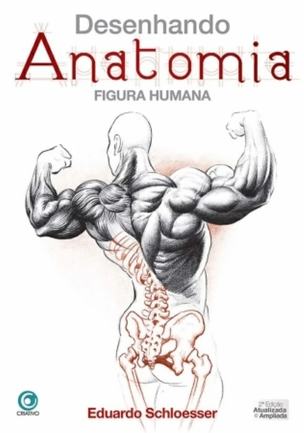 Desenhando Anatomia Figura Humana